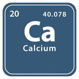 Kroppen og kalk (calcium) – Ojeda.dk | Et sundere og mere harmonisk ...